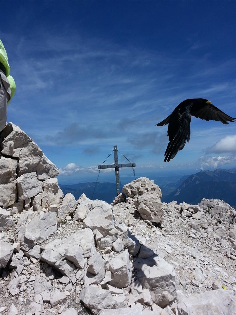 Klettersteig Alpspitze | Aufstieg via Alpspitz Ferrata und Abstieg via ...