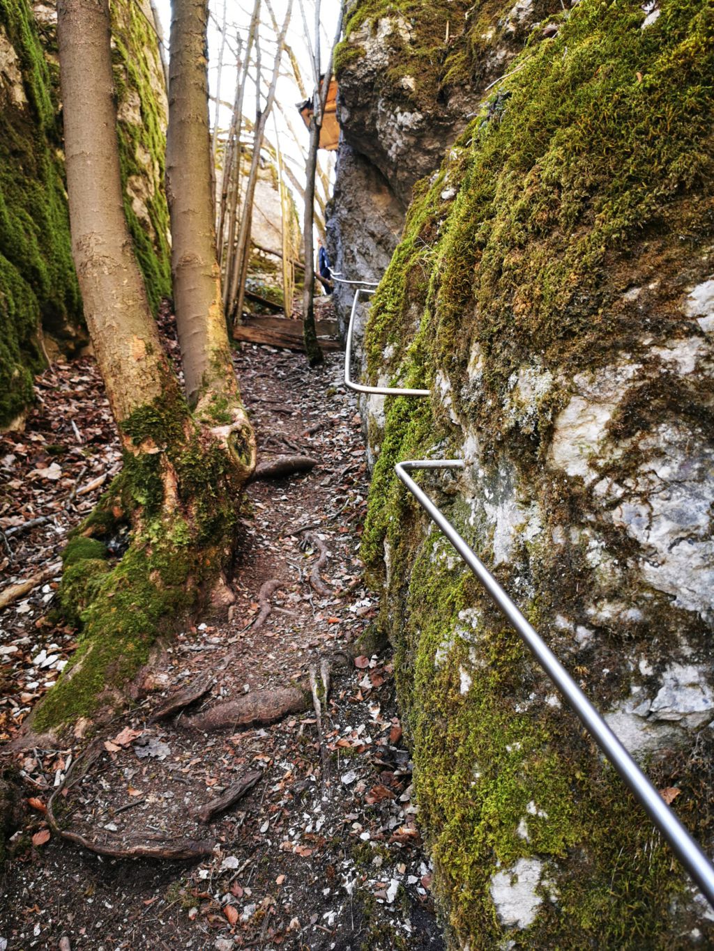 Skulpturensteig Fränkische Schweiz - von Frankendorf zur Dragonerspitz