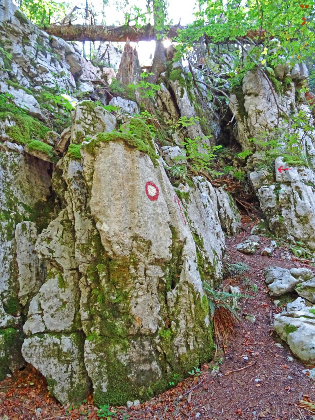 Steig auf den Veliki vrh / Vrh Bijelih stijena