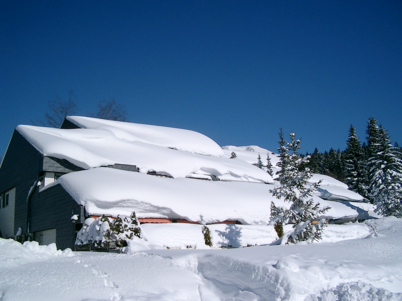 Schnee Chaos in den Alpen – die krassesten Fotos vom Schneewinter ...
