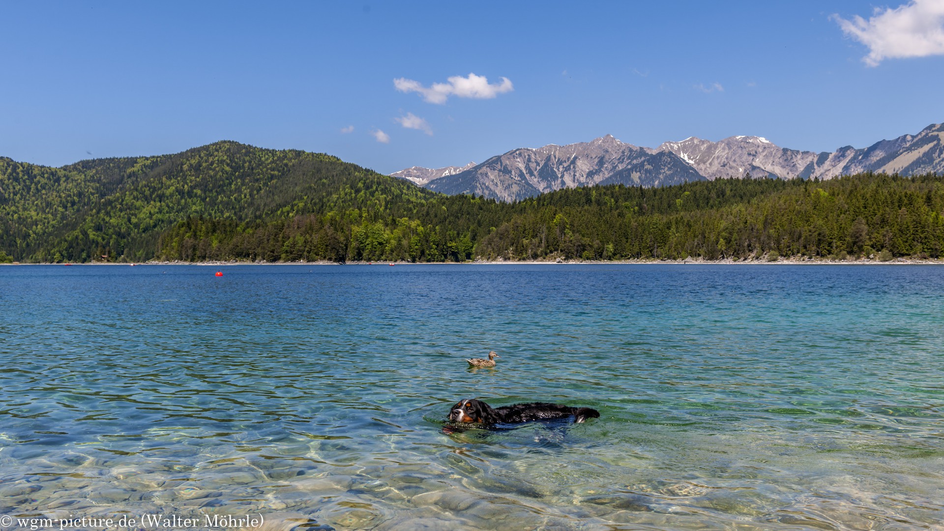Der Eibsee ☀️ eine Perle der Natur am Fuße der Zugspitze