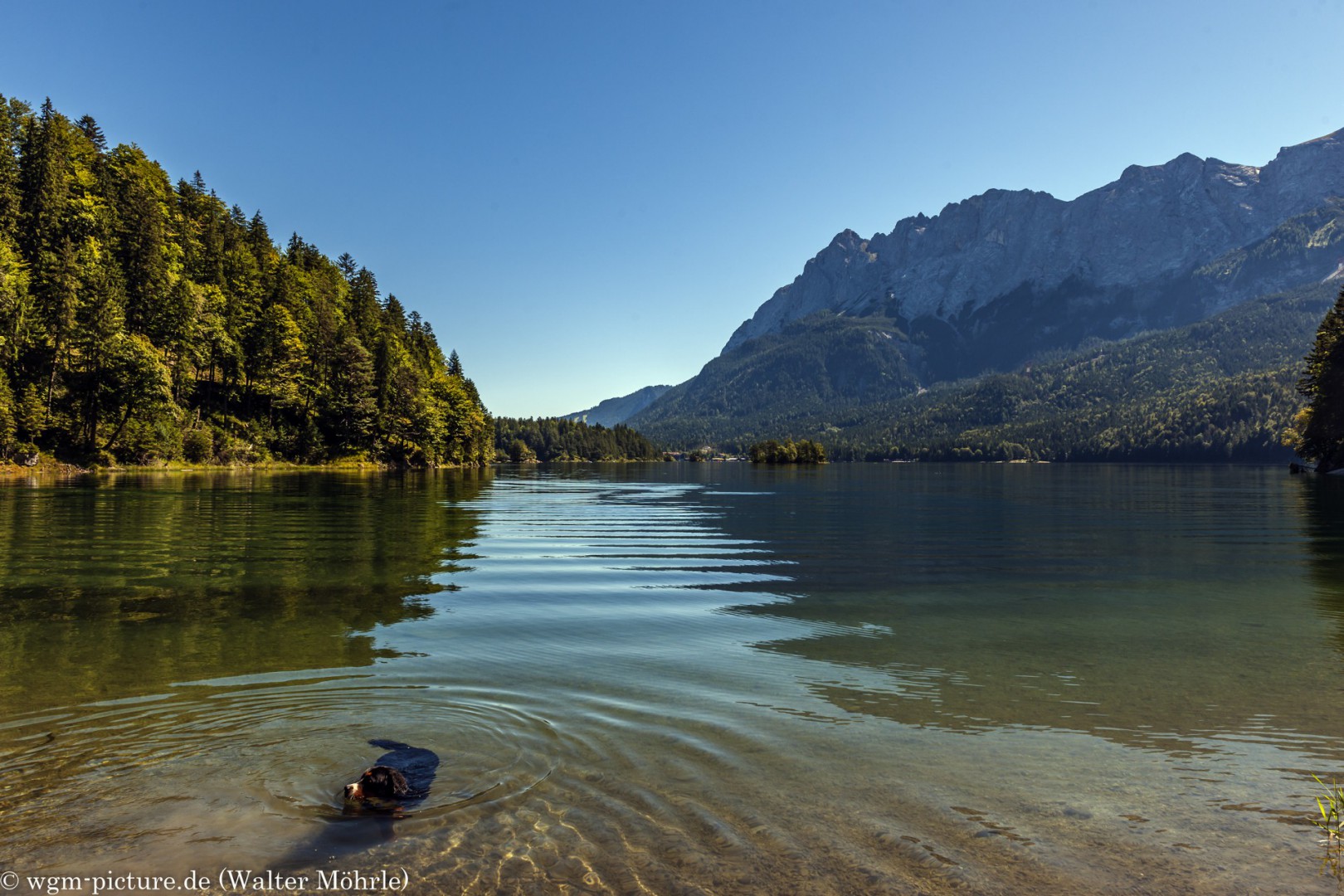 Der Eibsee ☀️ eine Perle der Natur am Fuße der Zugspitze