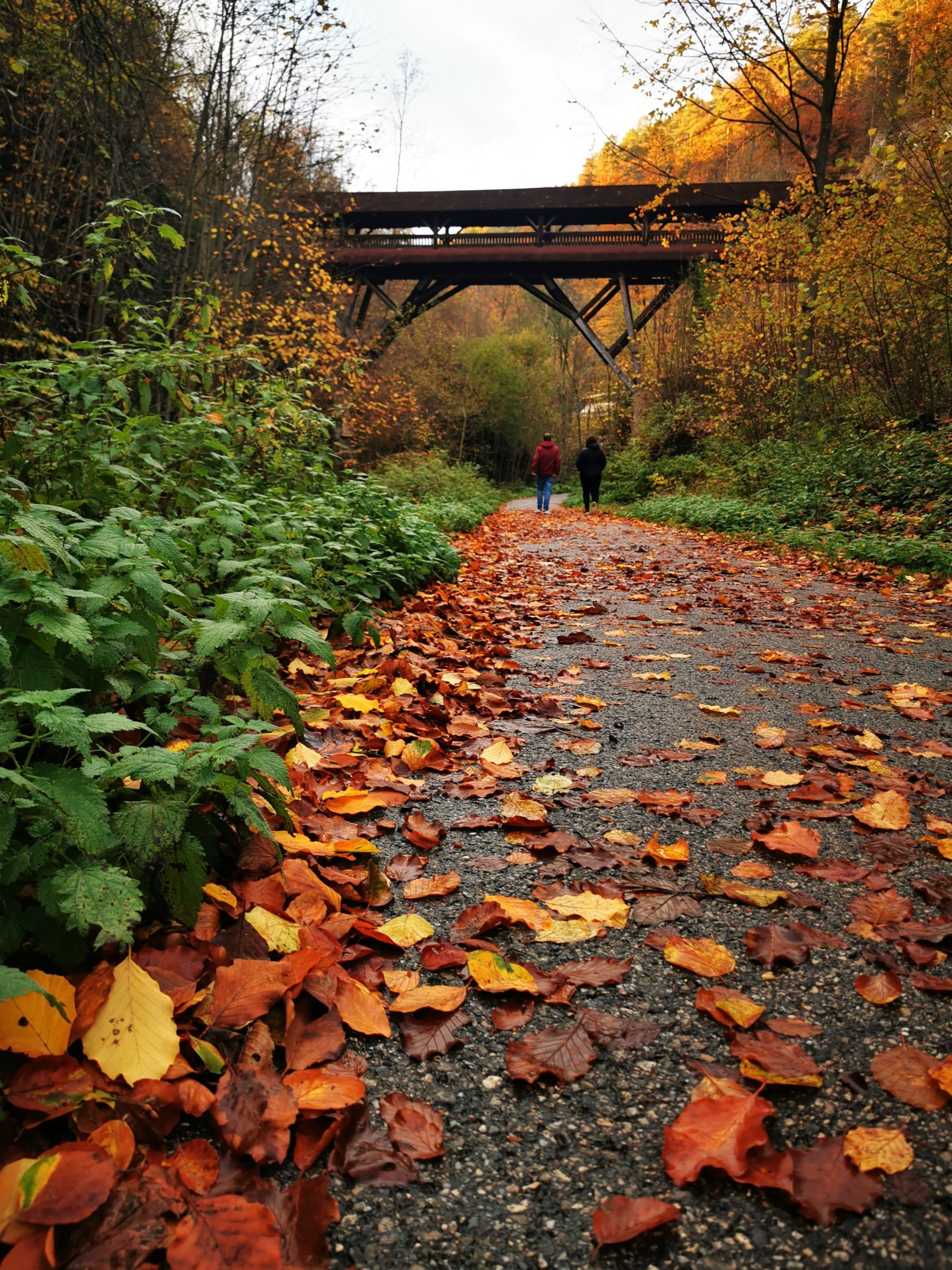 Pottenstein wandern | Erlebnisfelsen, Sommerrodelbahn & Teufelshöhle