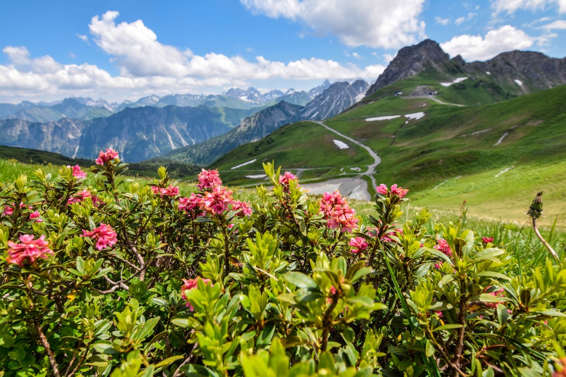 Die schönsten Bilder der Welt